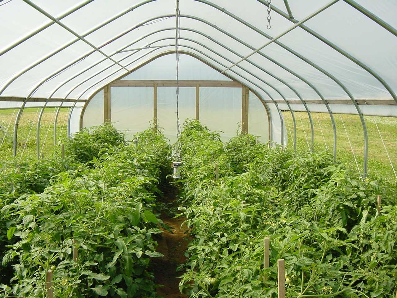 High Tunnel Pictures